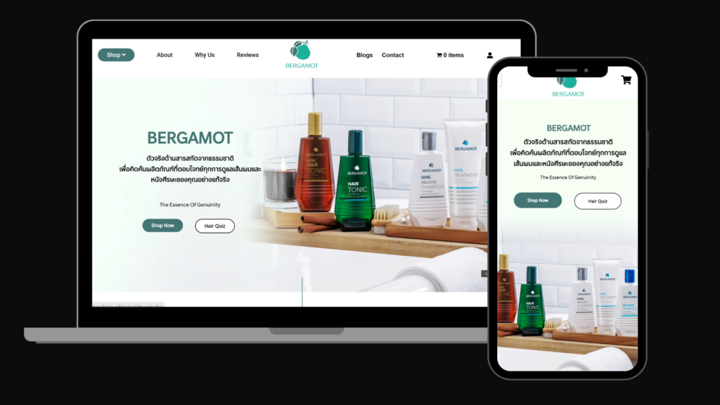 Success4 | Portfolio